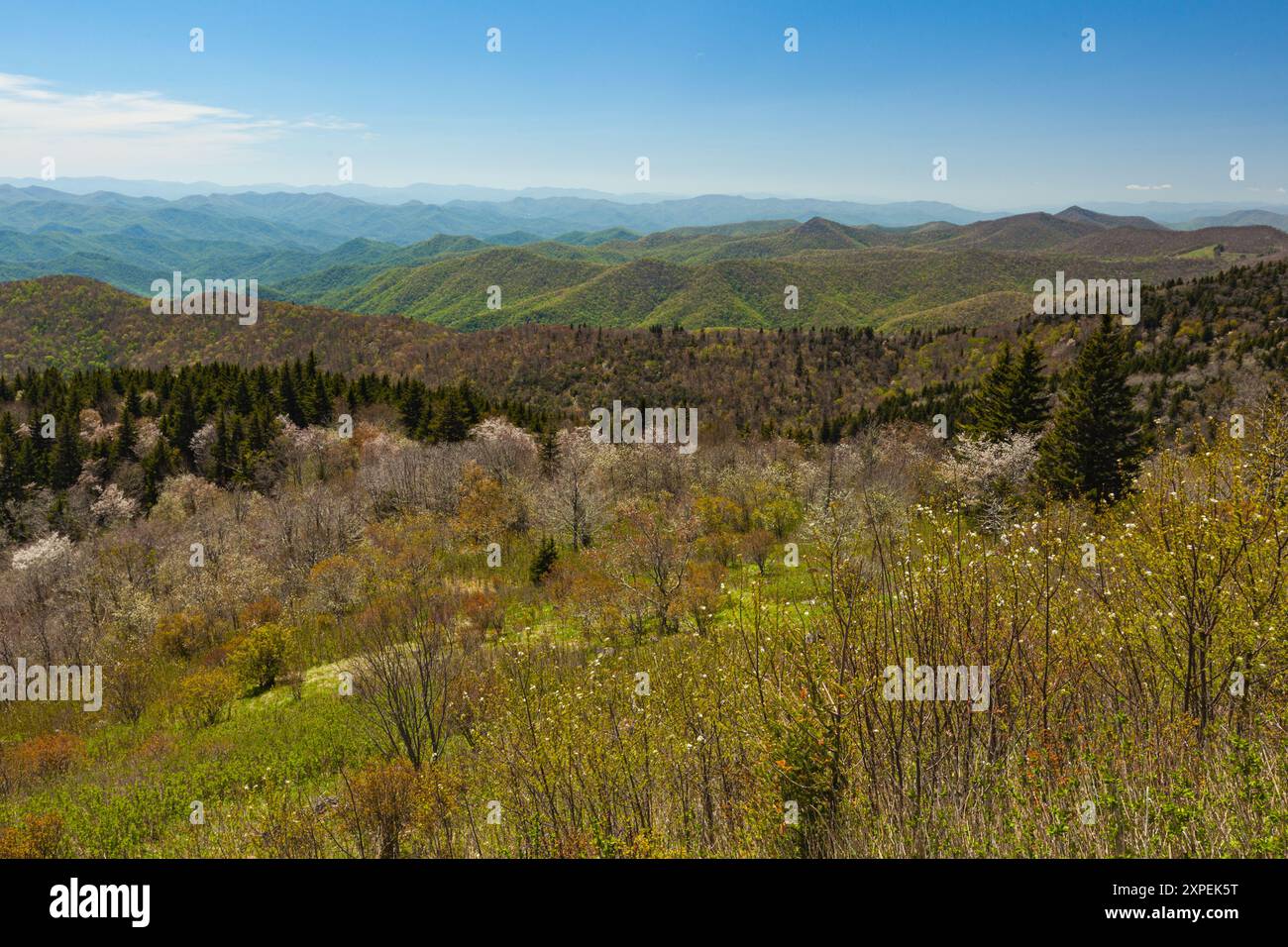 Blue Ridge Parkway in Spring in NC Stock Photo - Alamy