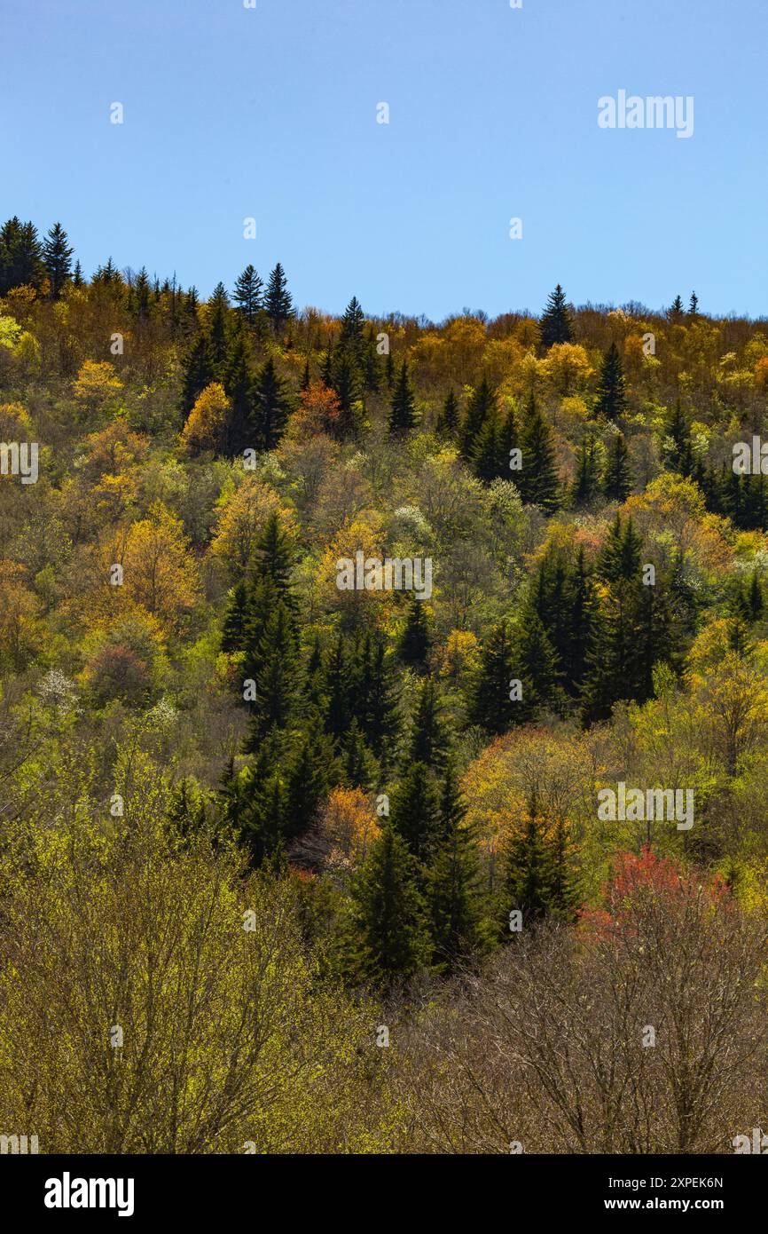 Blue Ridge Parkway in Spring in NC Stock Photo - Alamy