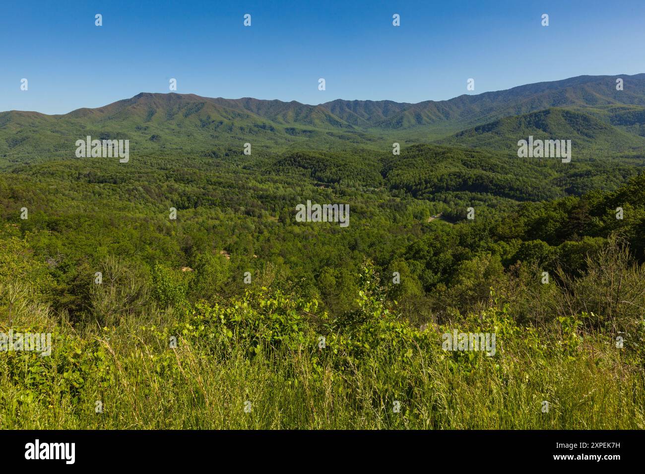 Foothills Parkway in Spring in Tennessee Stock Photo - Alamy