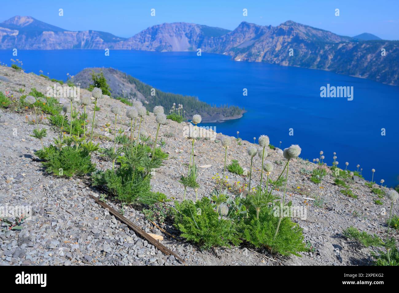 The amazing Crater Lake National Park at Watchman Overlook, Oregon OR ...