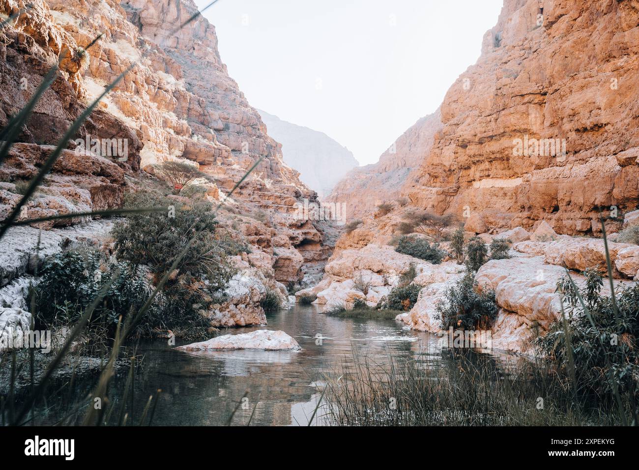 Wadi Shab, Canyon, valley, oasis with blue waters to swim close to ...