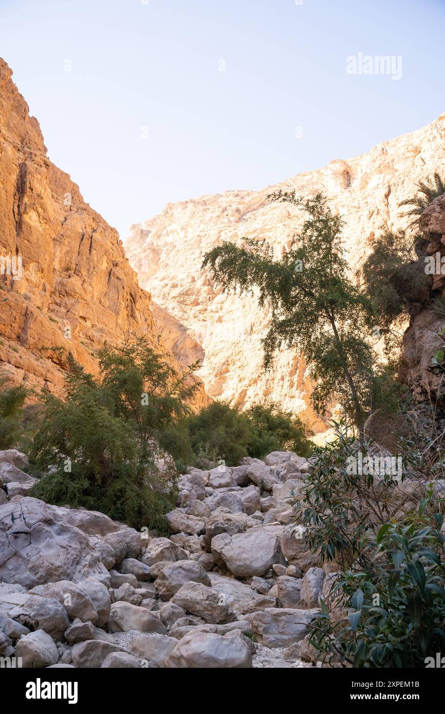 Wadi Shab, Canyon, valley, oasis with blue waters to swim close to ...