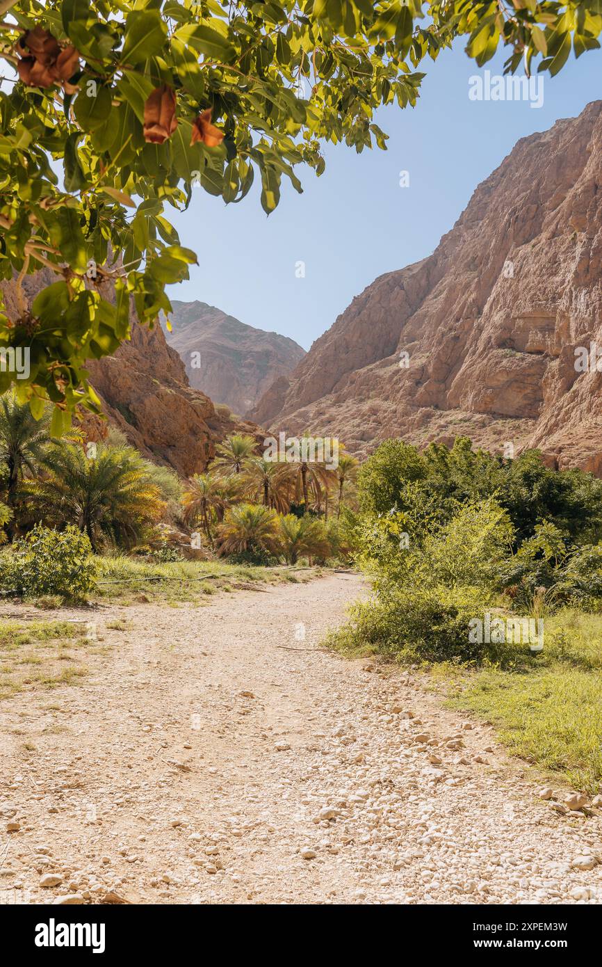 Wadi Shab, Canyon, valley, oasis with blue waters to swim close to ...