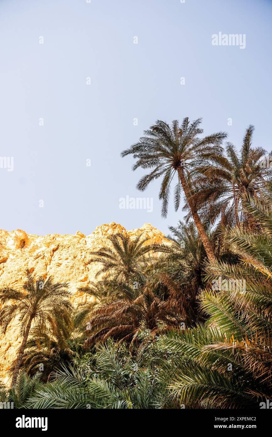 Wadi Shab, Canyon, valley, oasis with blue waters to swim close to ...
