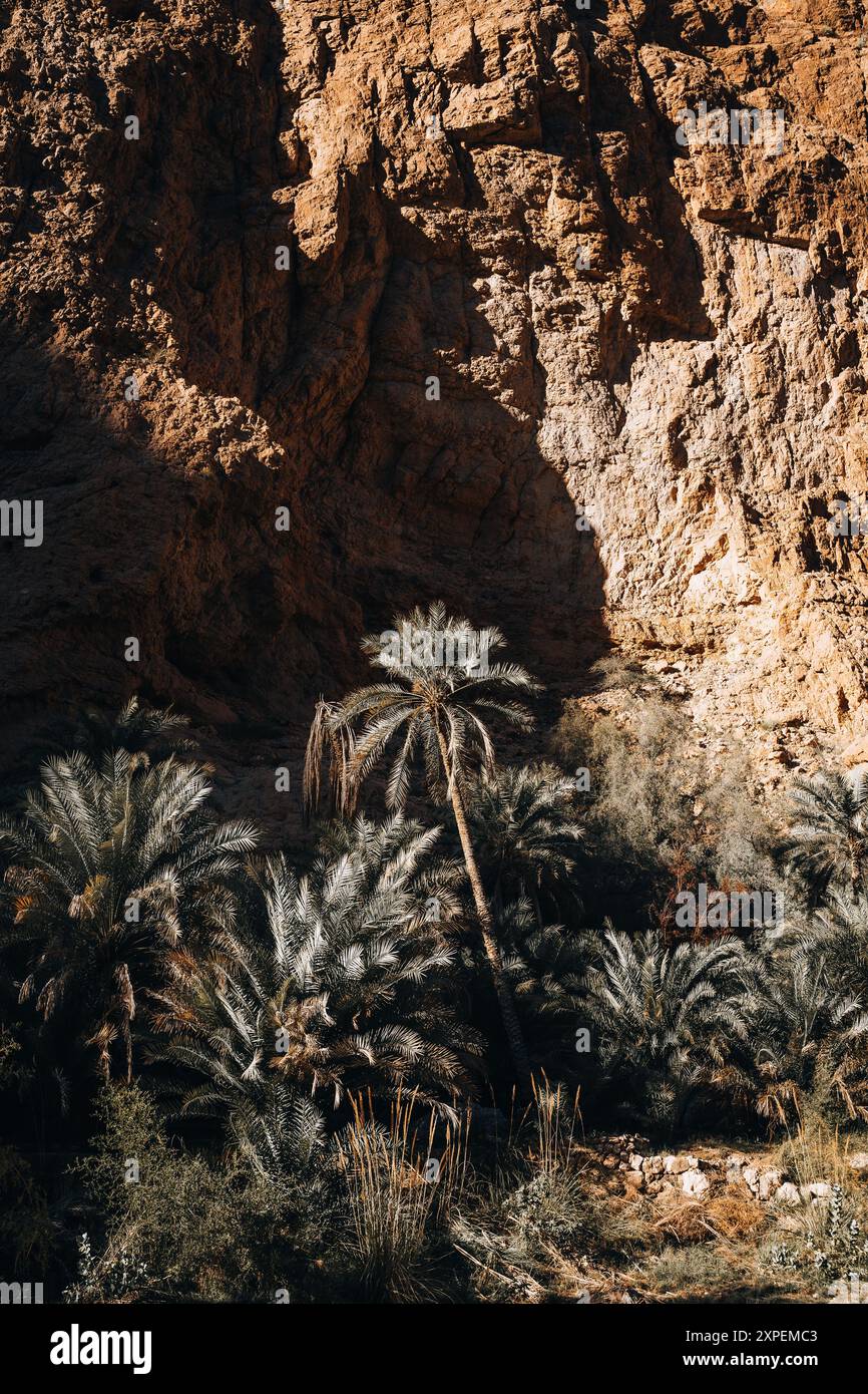 Wadi Shab, Canyon, valley, oasis with blue waters to swim close to ...