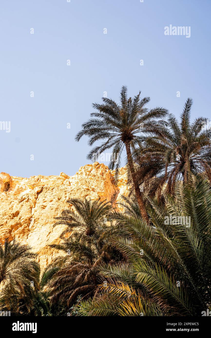 Wadi Shab, Canyon, valley, oasis with blue waters to swim close to ...