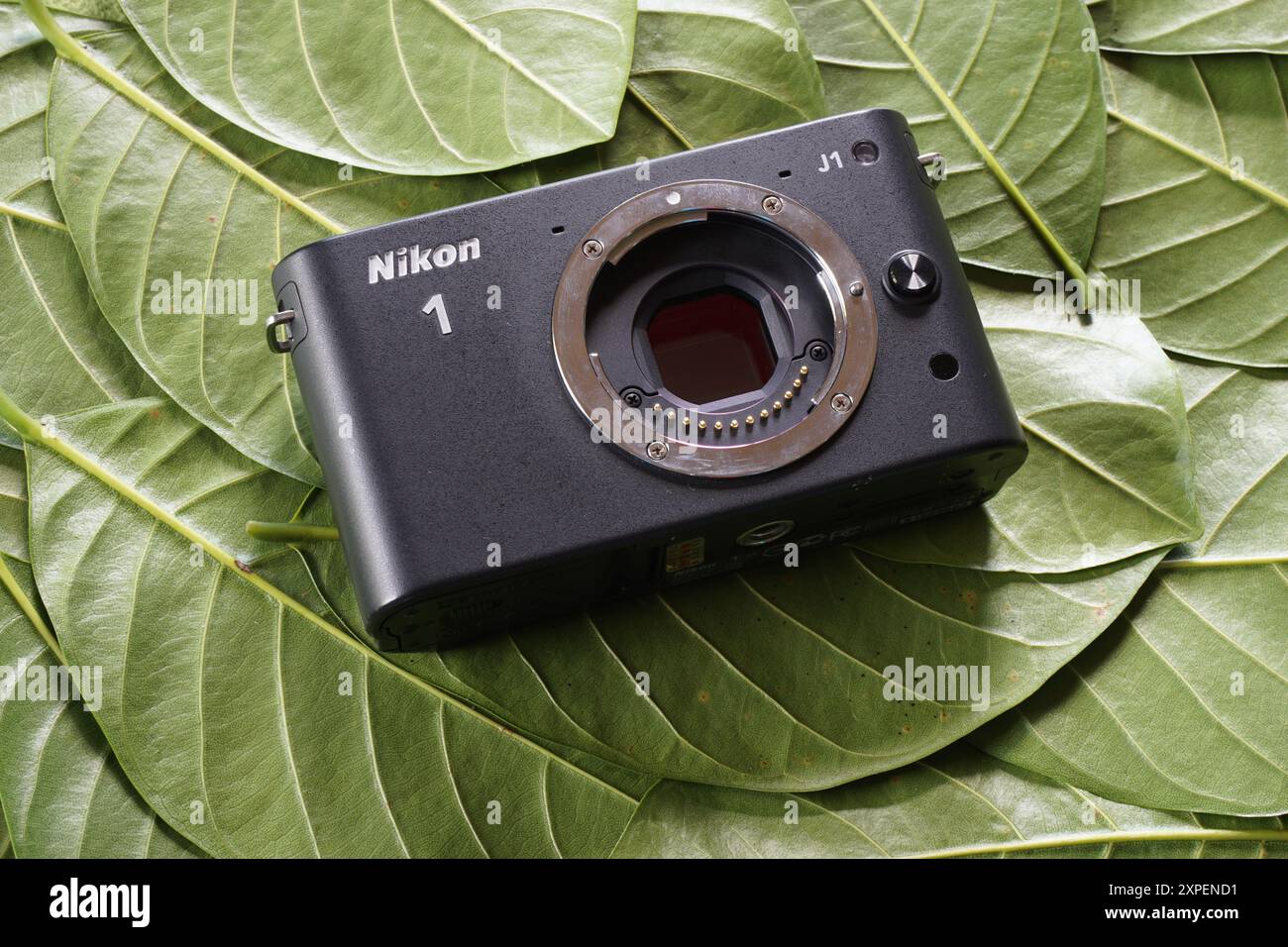 Terengganu, Malaysia - 23 August 2024 : Black nikon 1 j1 ...