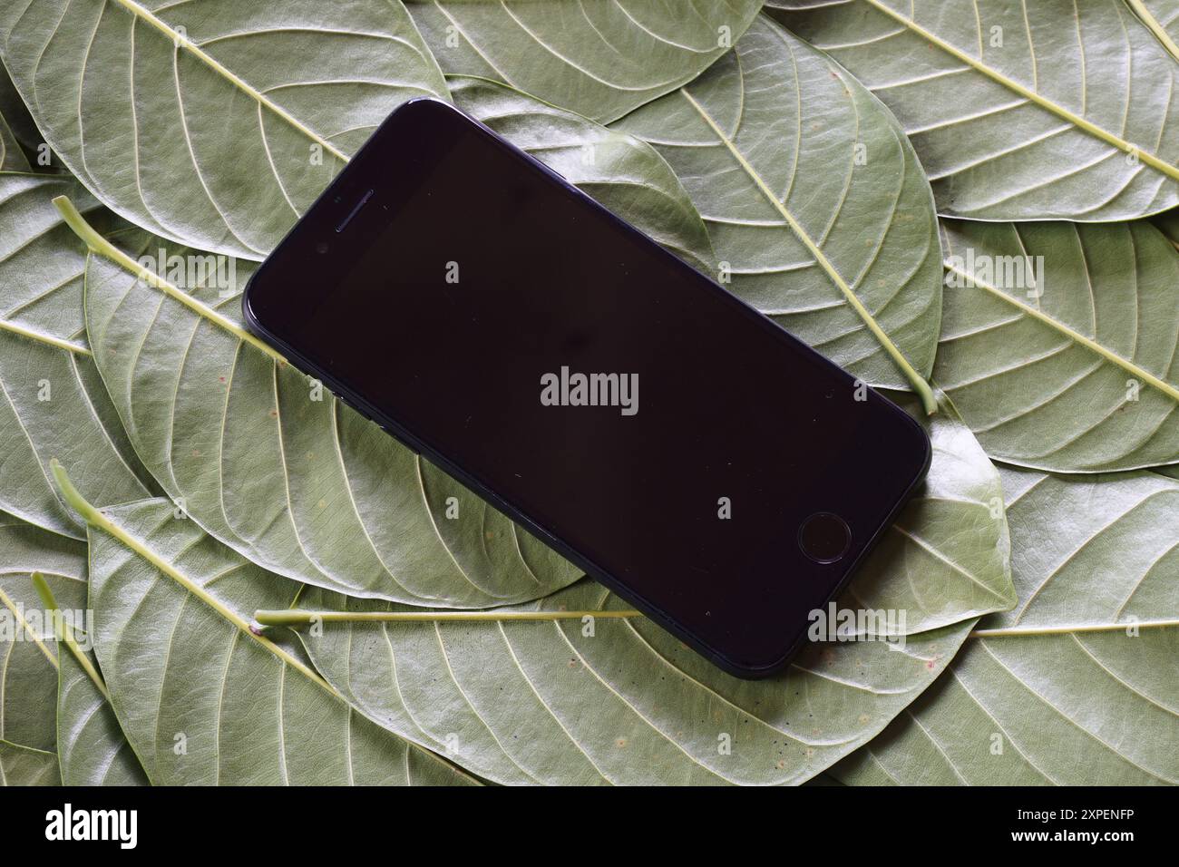 Apple iphone black blank screen hi-res stock photography and images - Alamy
