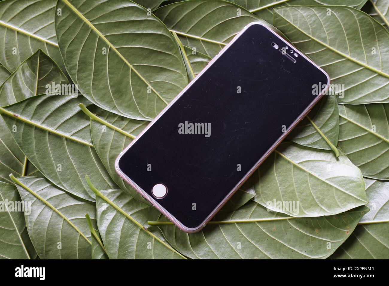 Apple iphone black blank screen hi-res stock photography and images - Alamy