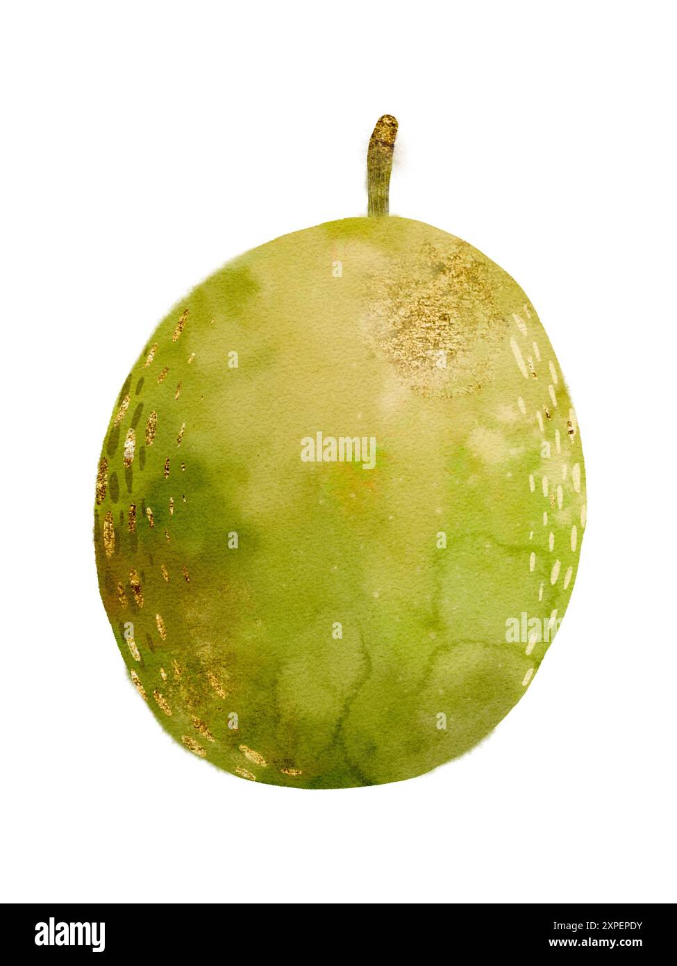 A vibrant green melon is beautifully showcasing its unique and ...