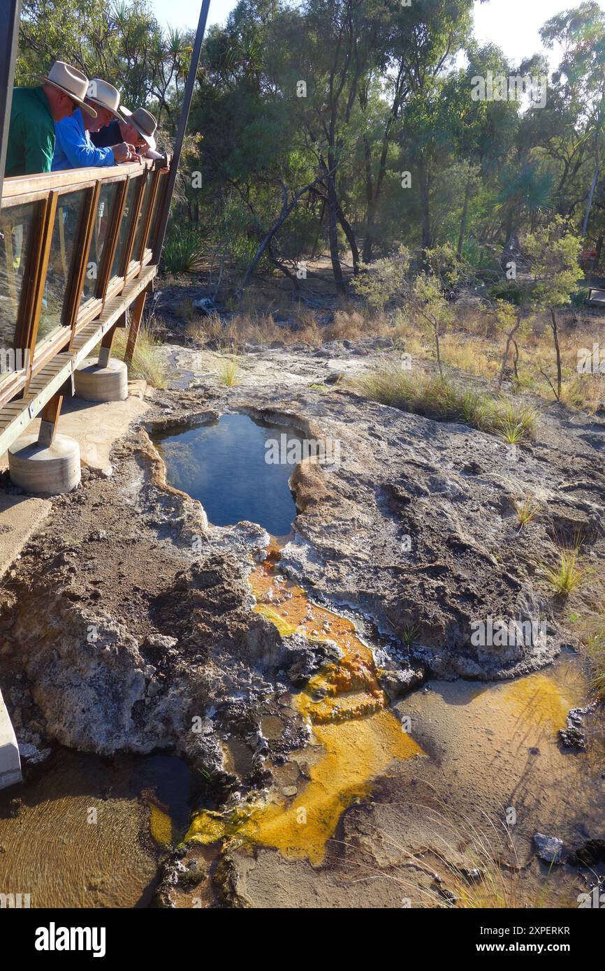Tourists looking into Luna, the largest hot spring, Talaroo Hot Springs ...