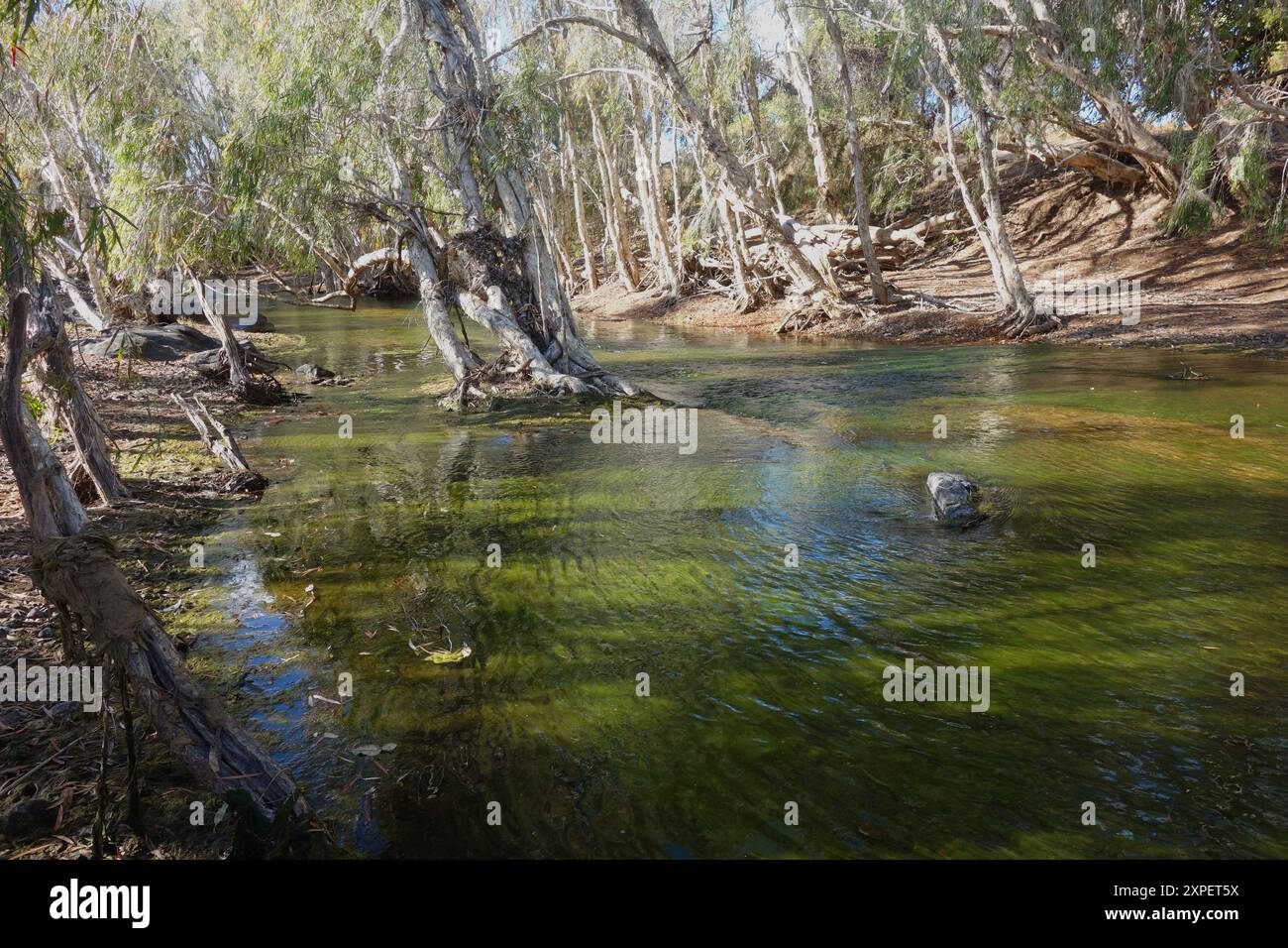 Einasleigh River, Talaroo Hot Springs, outback Queensland, Australia ...