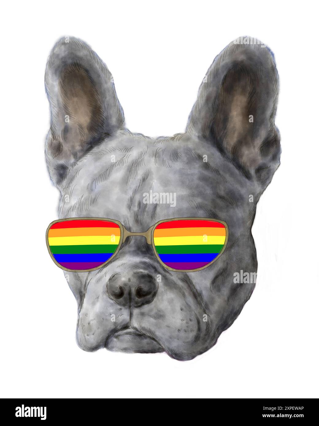 French bulldog or frenchie dog head wearing gay rainbow sunglasses ...