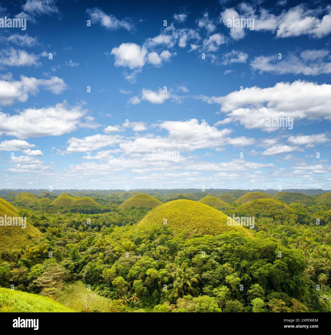 Chocolate hills on Bohol Island, Philippines Stock Photo - Alamy
