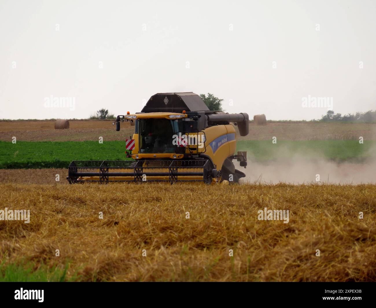 Strohbinder hi-res stock photography and images - Alamy