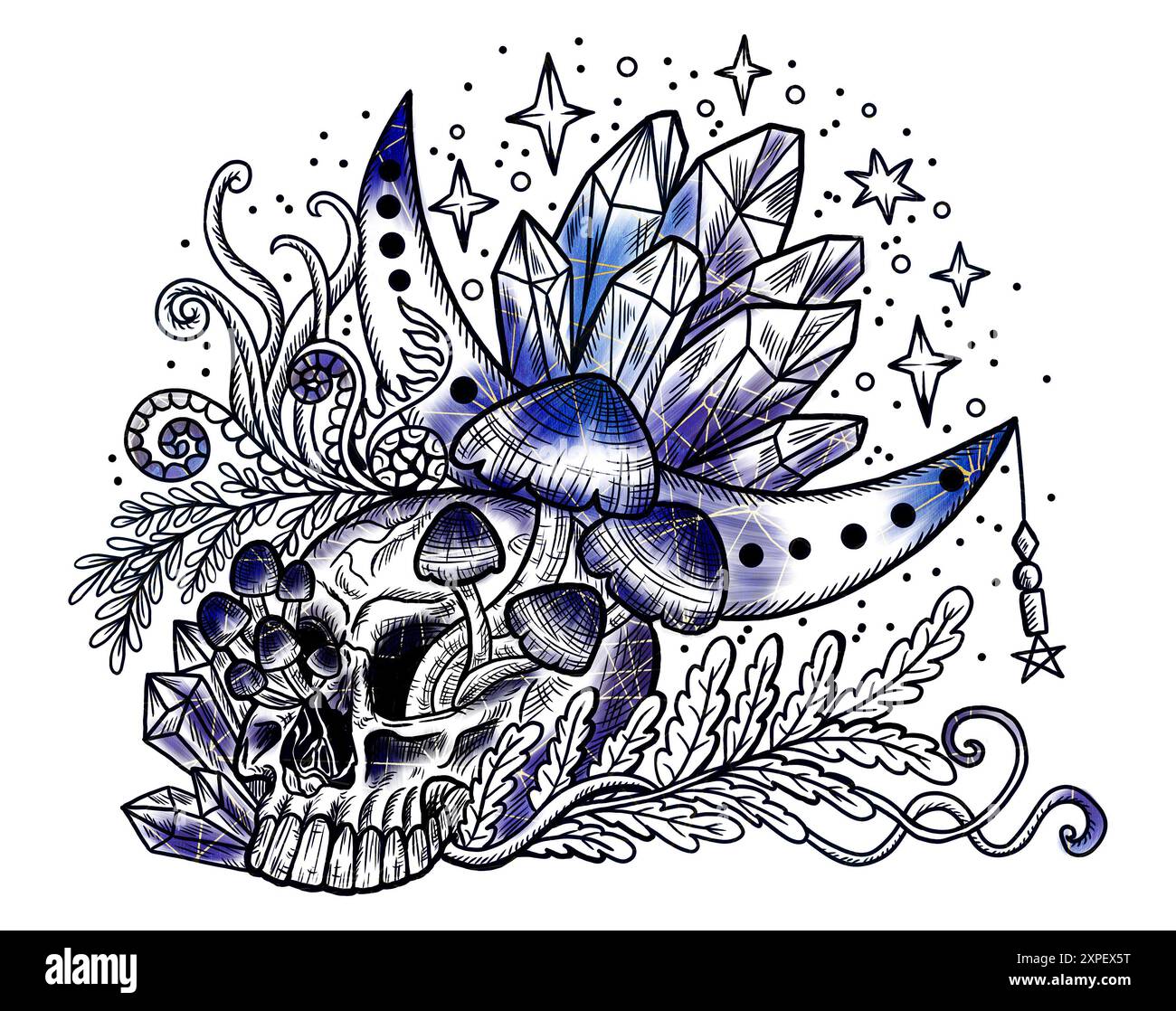 Styled vintage illustration with mystic mushrooms, magic and floral ...