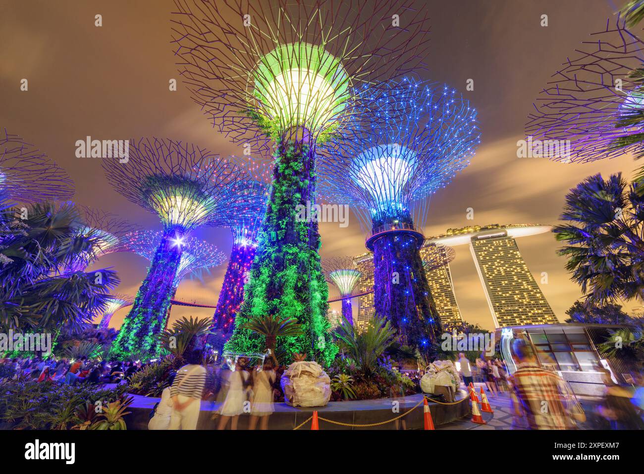 Fabulous night bottom view of the Supertrees in Singapore Stock Photo ...