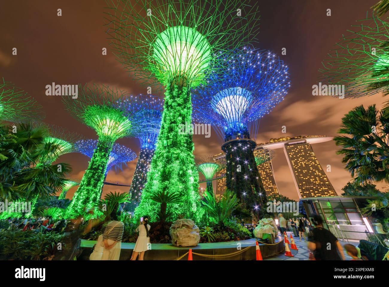 Awesome night bottom view of the Supertrees in Singapore Stock Photo ...