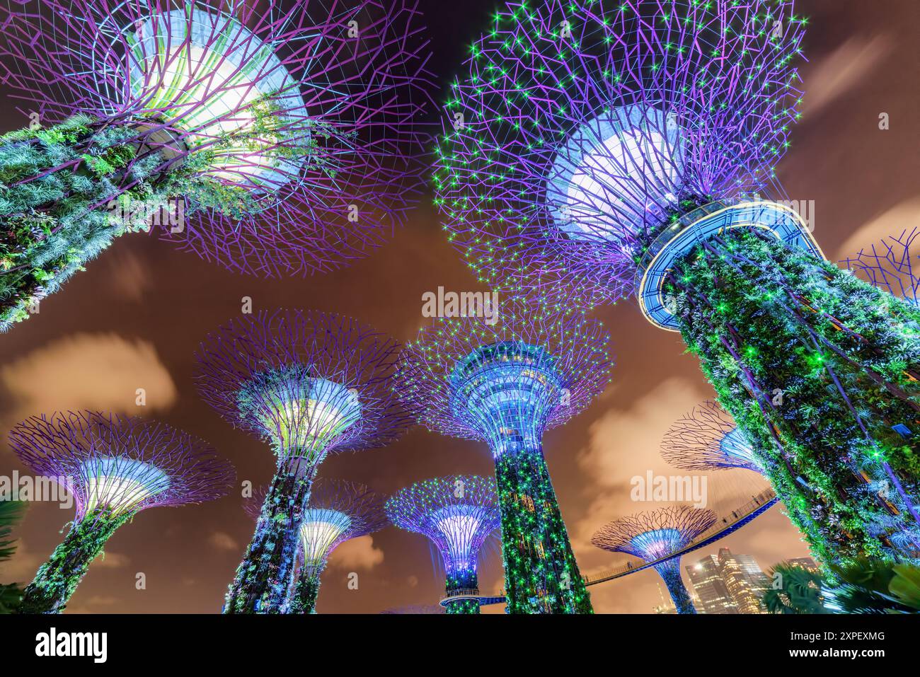Gorgeous night bottom view of the Supertrees and the Skyway Stock Photo ...