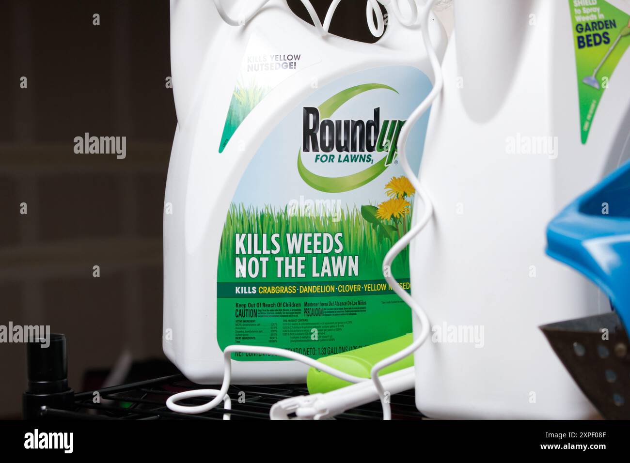 Los Angeles, California, United States - 03-01-2022: A view of some ...