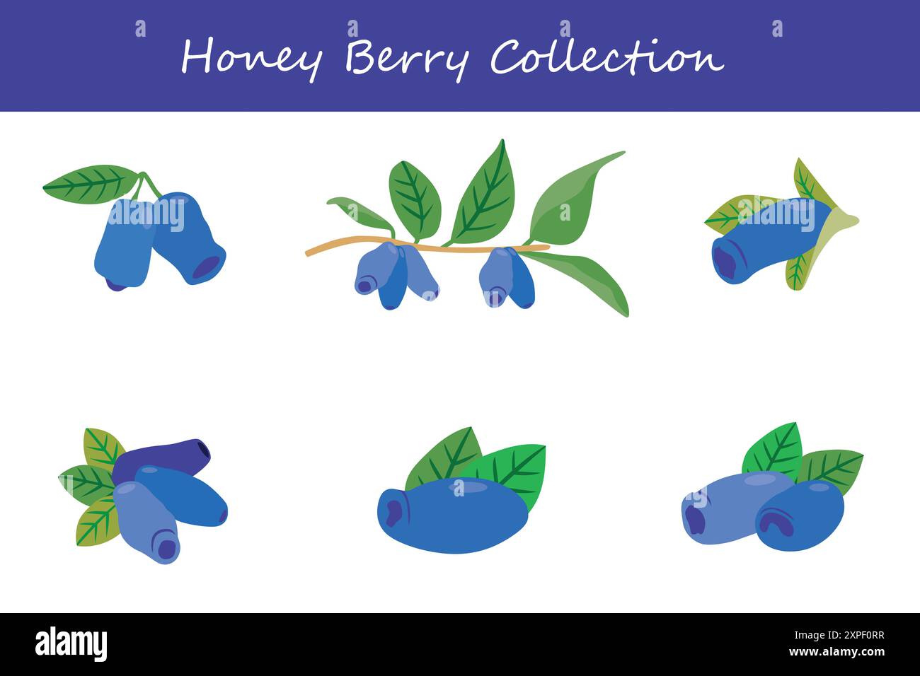 honey berry collection. honey berry in different poses. Vector illustration Stock Vector Image ...