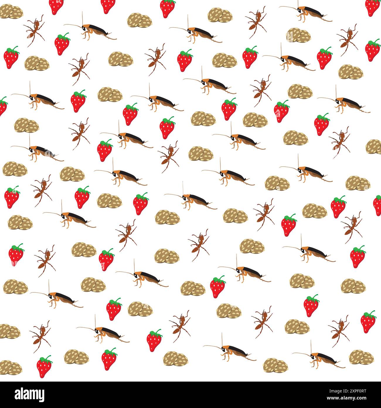 Forest cockroach Stock Vector Images - Alamy