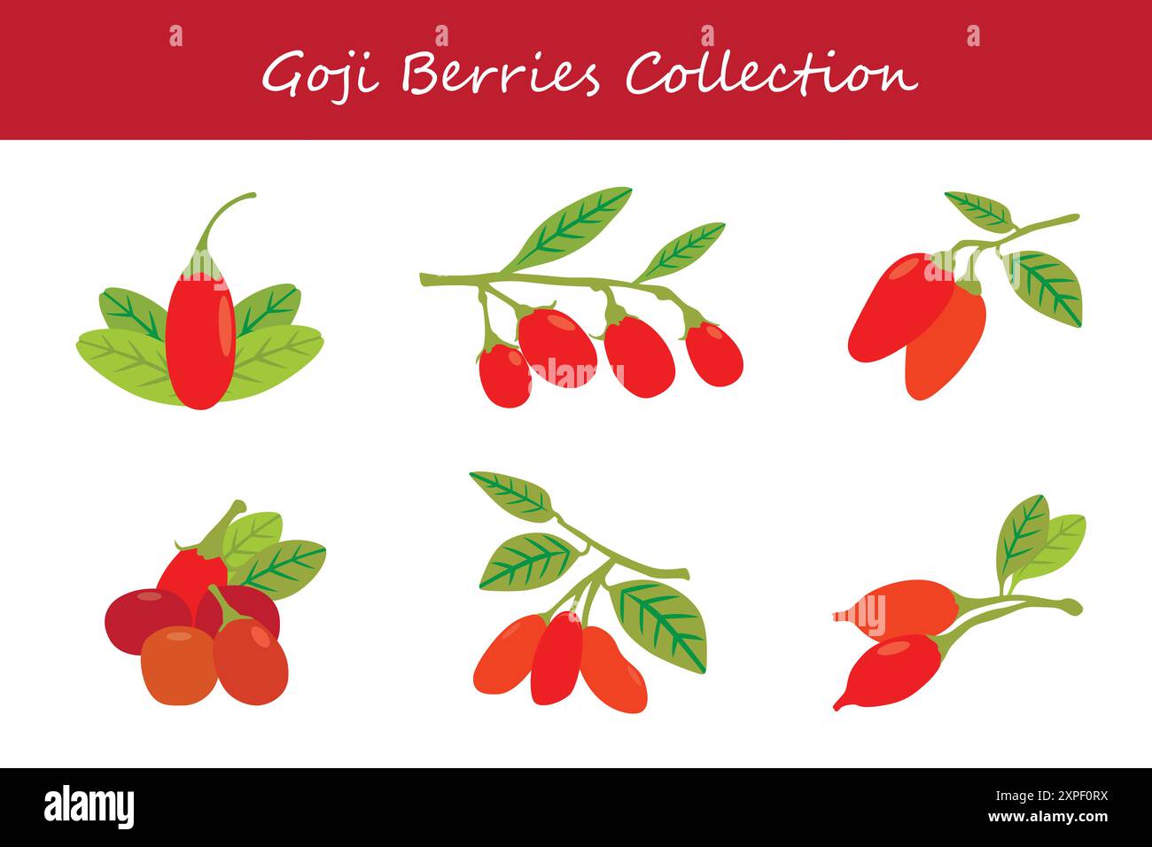 goji berries collection. goji berries in different poses. Vector ...