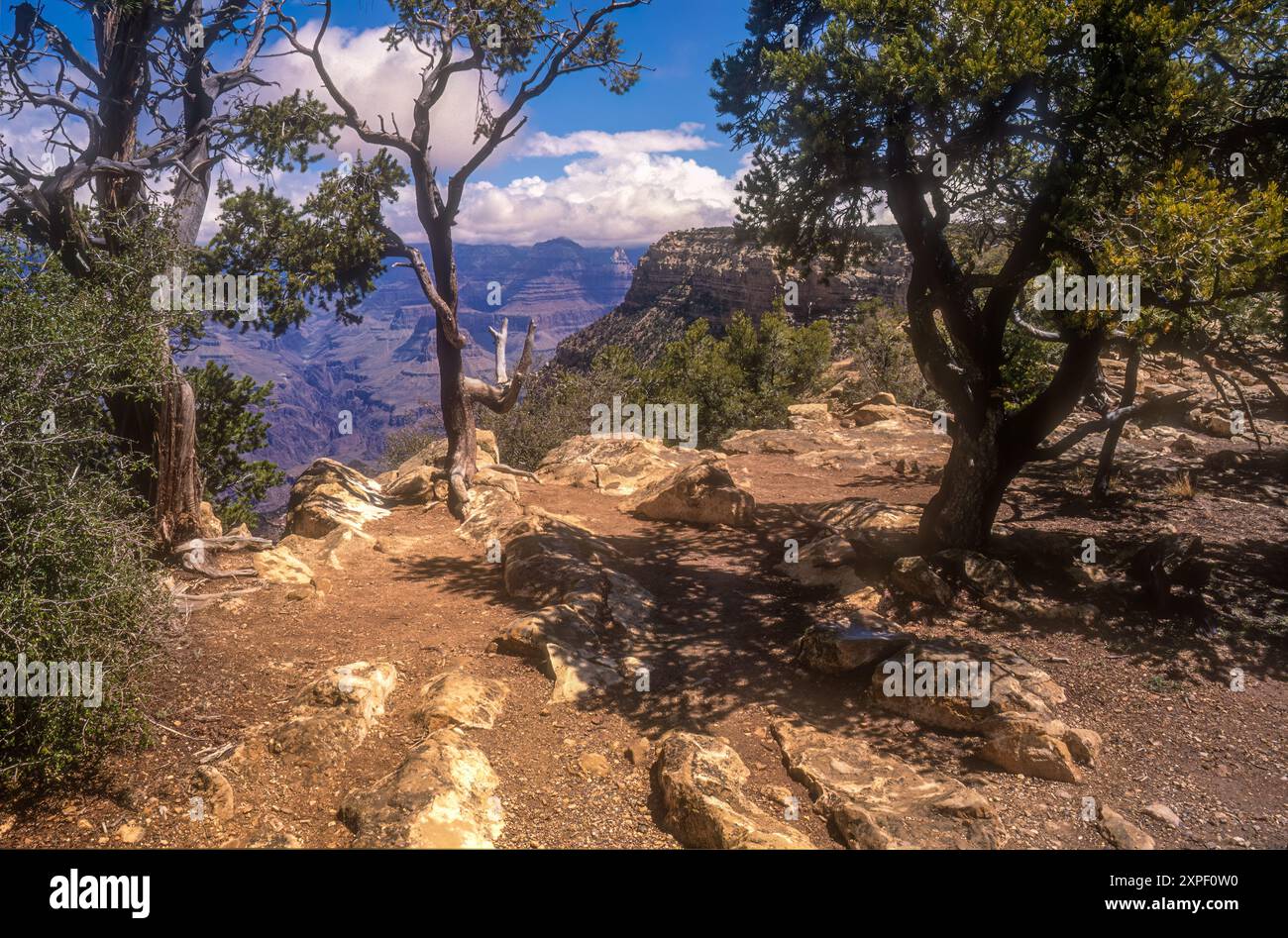 View from Grand Canyon South Rim Trail in Northern Arizona. (USA Stock ...