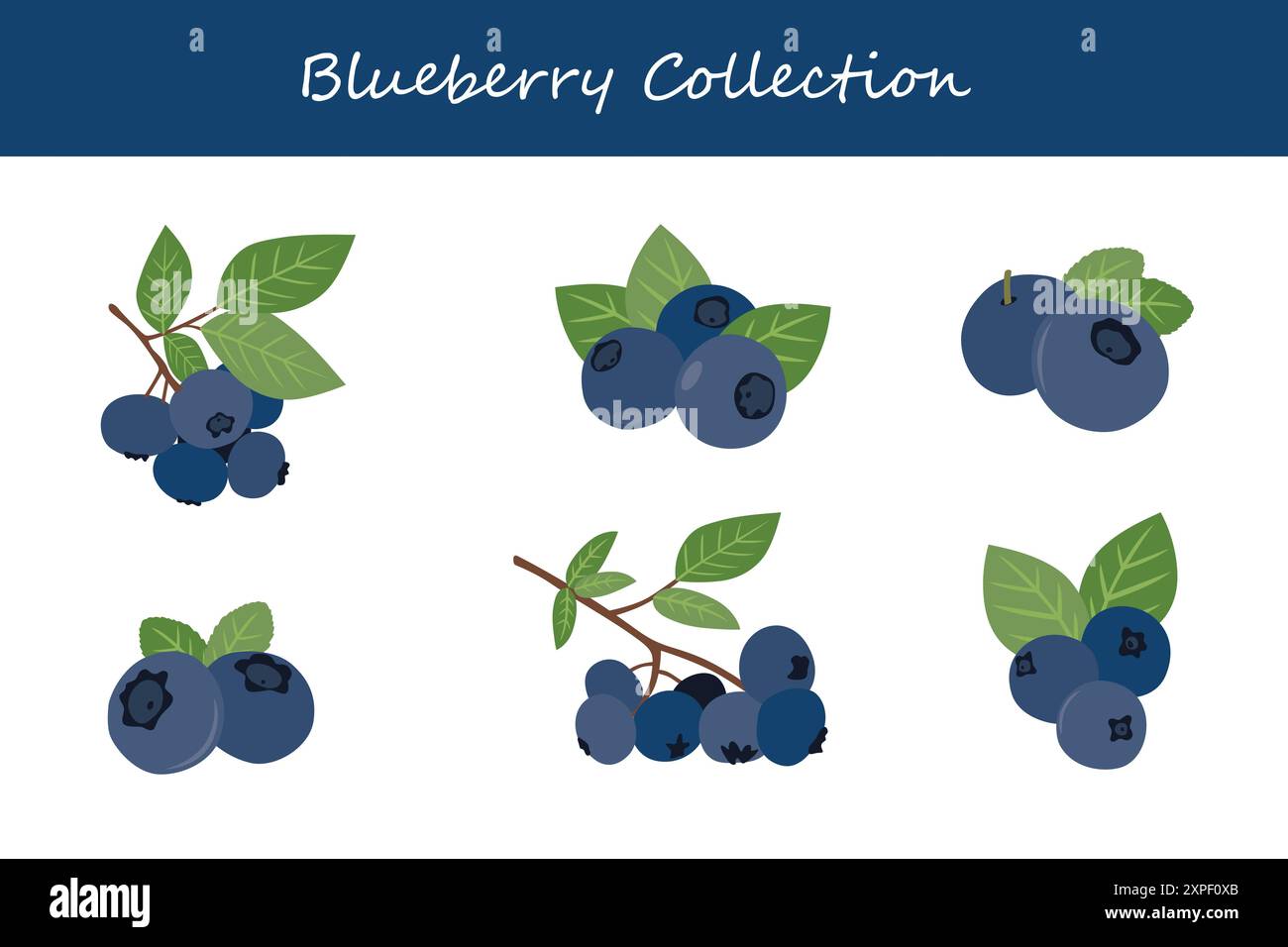 Bunch of inflorescence Stock Vector Images - Alamy