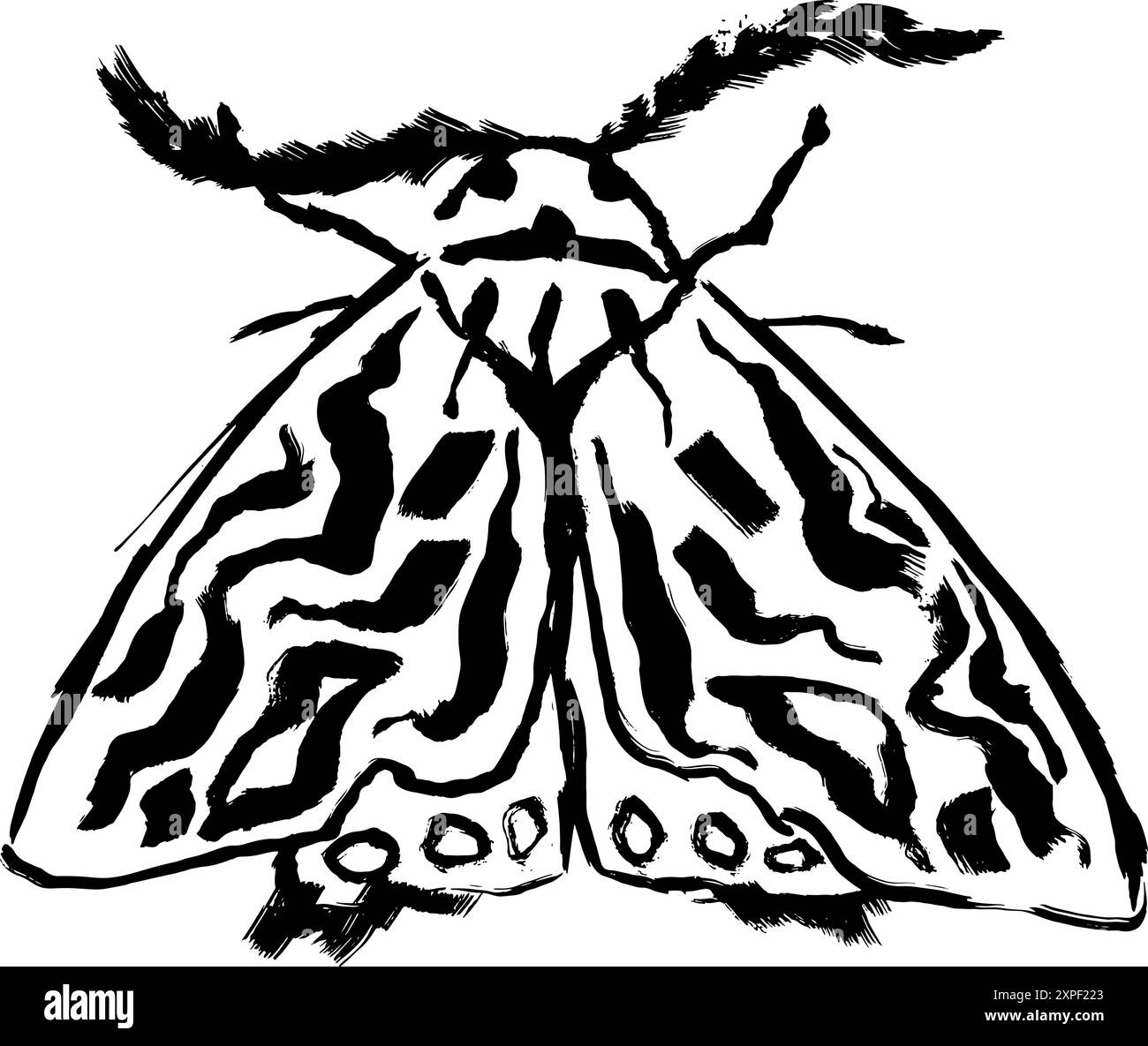 Grunge Hand Drawn Ink Brush Night Moth Stock Vector Image & Art - Alamy