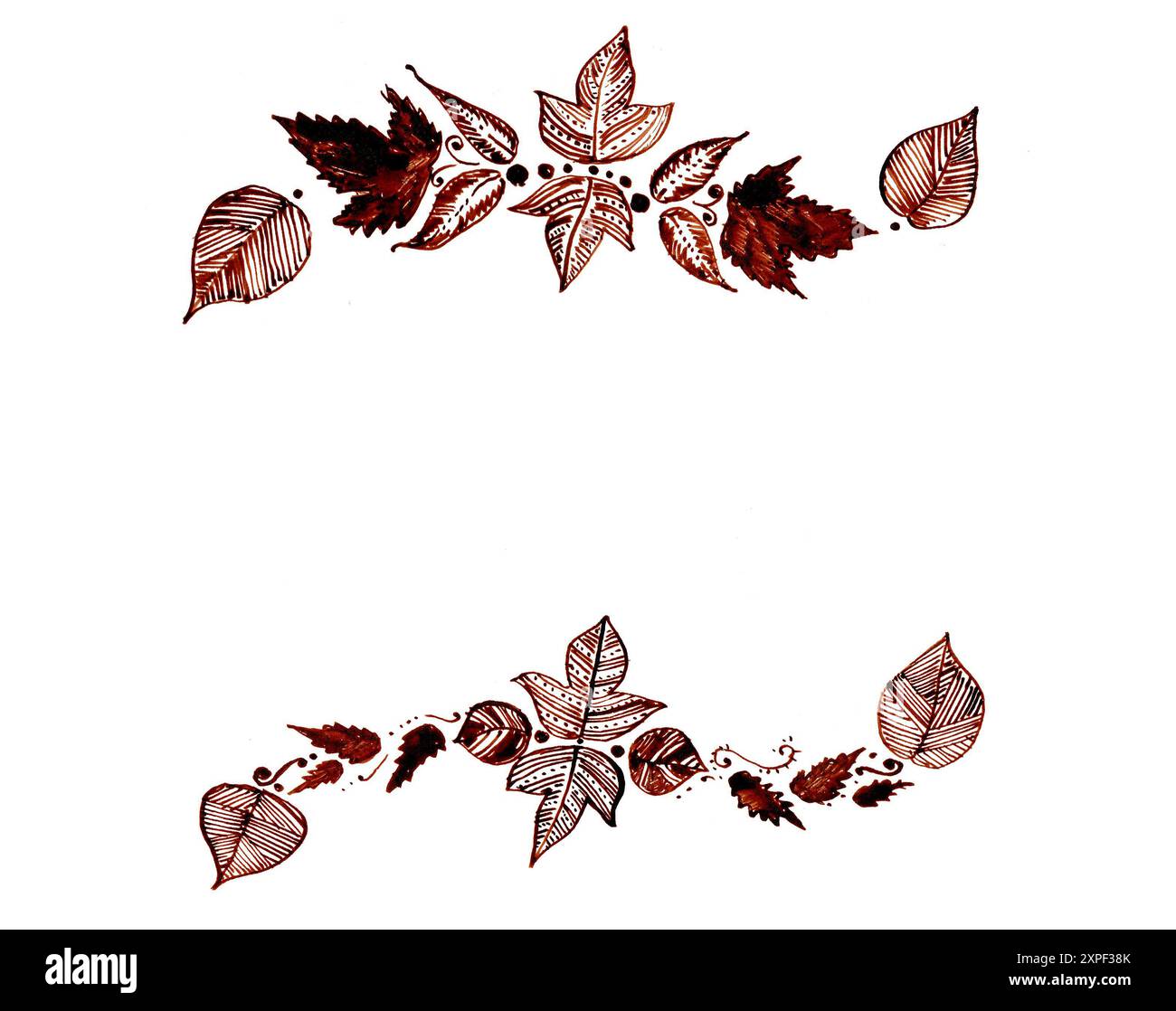 Frame, framing of leaves. White background and copy space. Leaves of ...