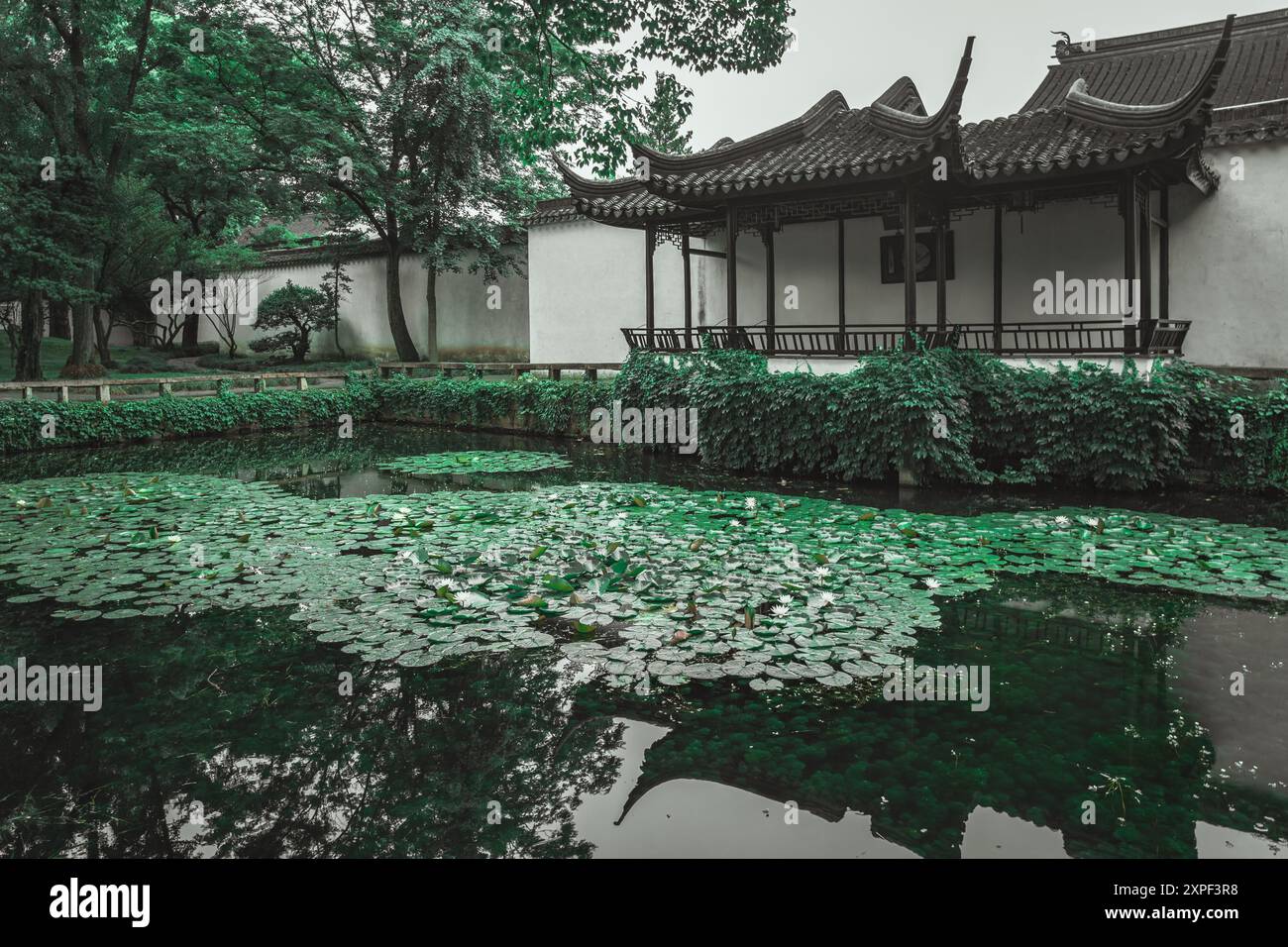 A traditional Chinese garden with a serene pond surrounded by lush ...