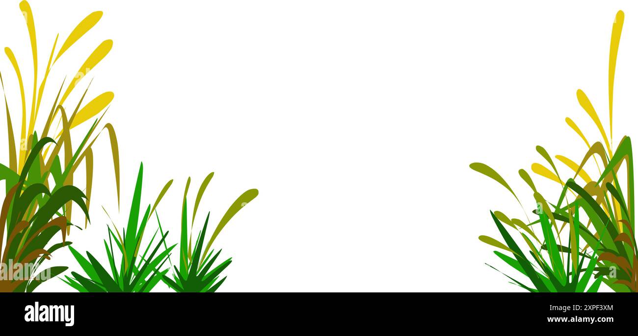 Green grass plant illustration background. Perfect for website ...