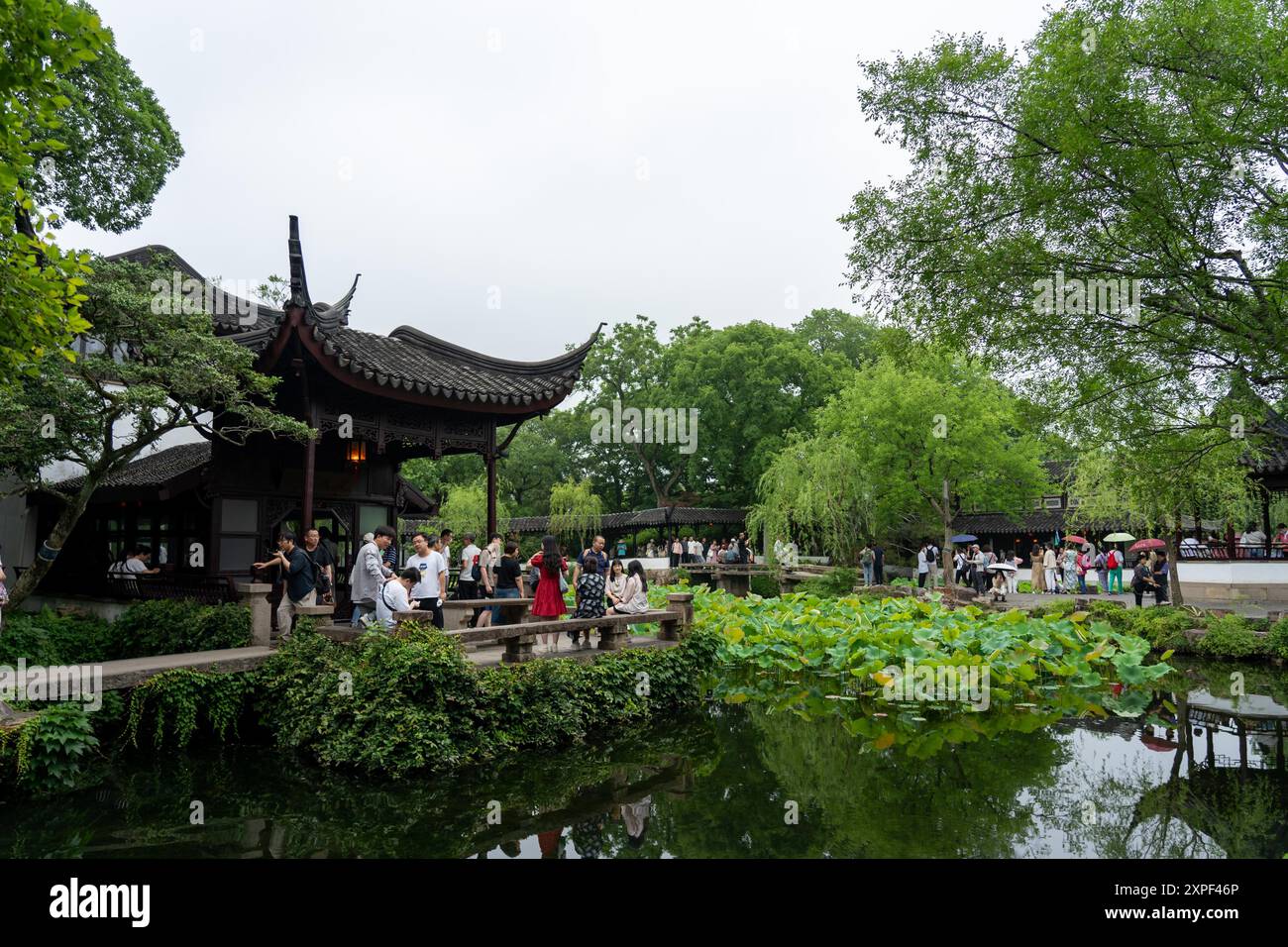 Suzhou, China - June 11, 2024 : A pond in a Chinese garden is ...