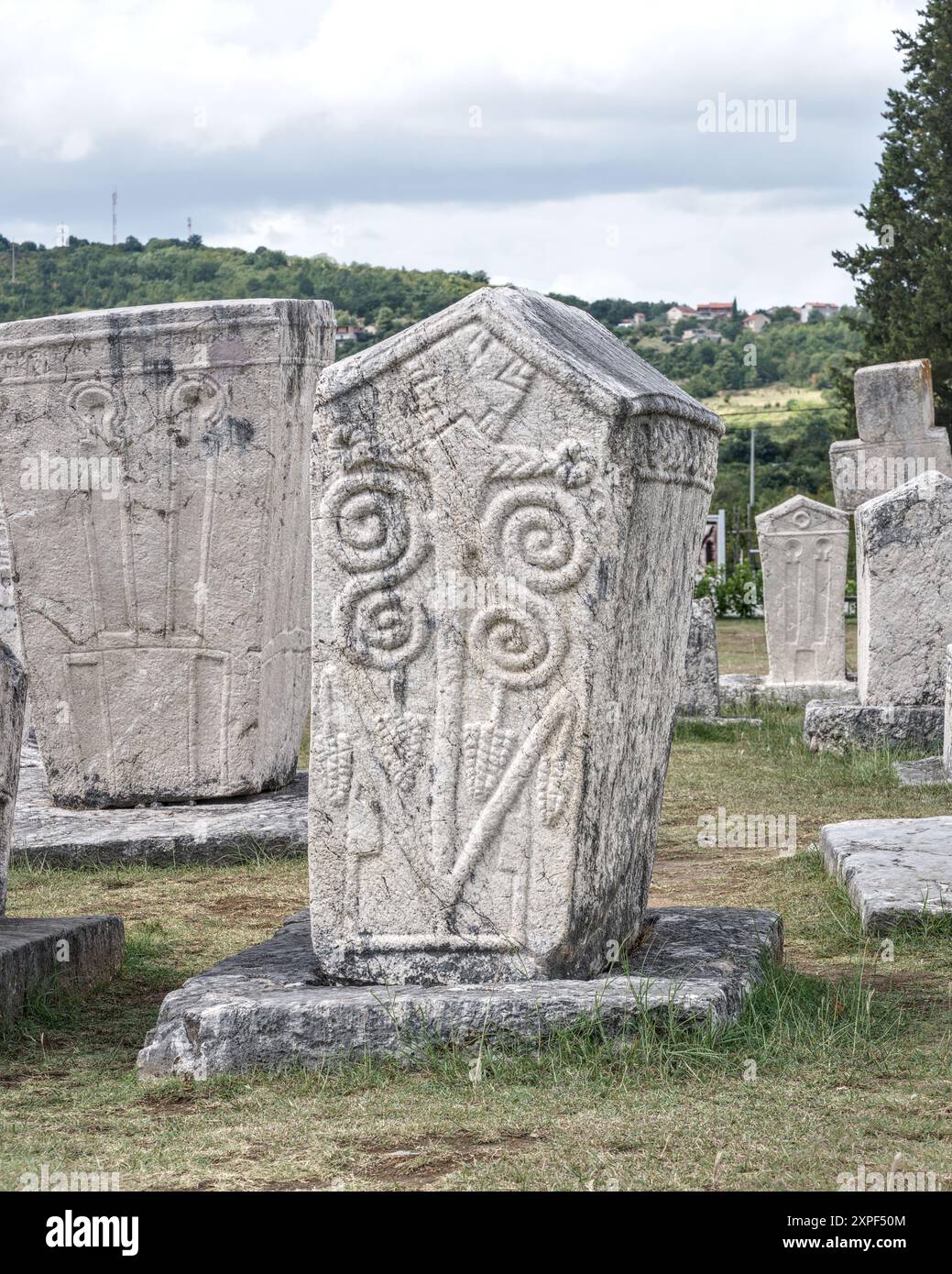 Vidovo Polje, Stolac, Bosnia and Herzegovina – August 2023: Medieval ...