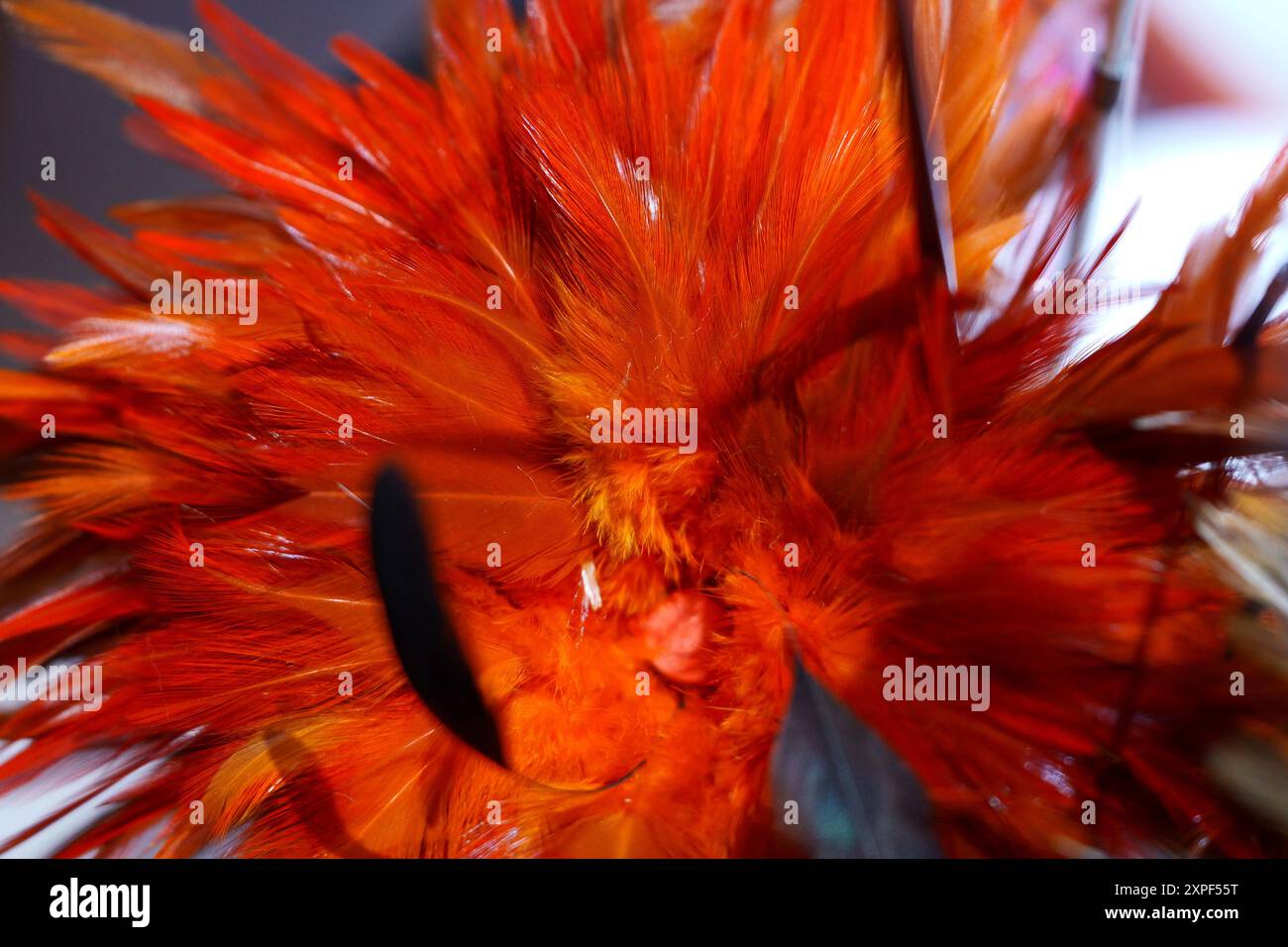 Decorative duster hi-res stock photography and images - Alamy