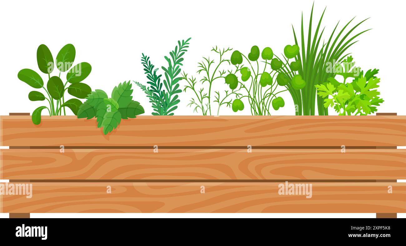 Planting summer spinach Stock Vector Images - Alamy