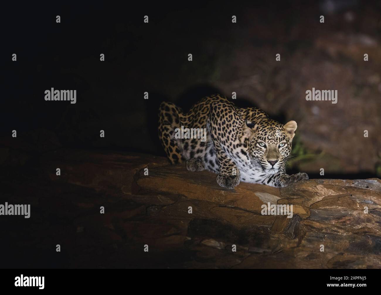 Indian village night hi-res stock photography and images - Alamy