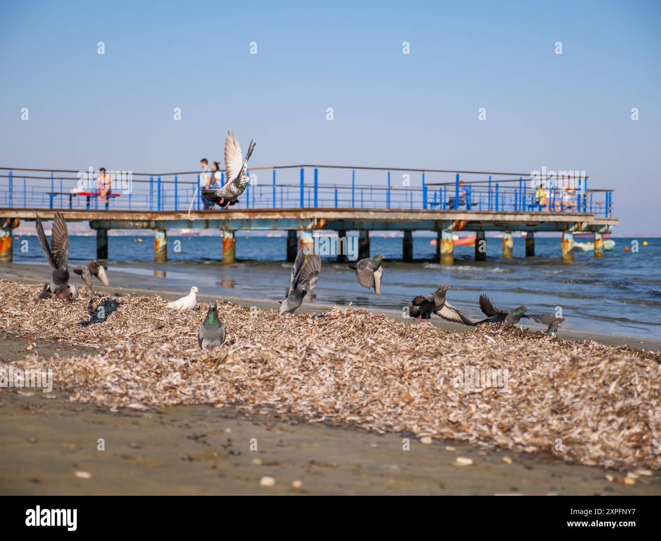 Person at air port hi-res stock photography and images - Alamy