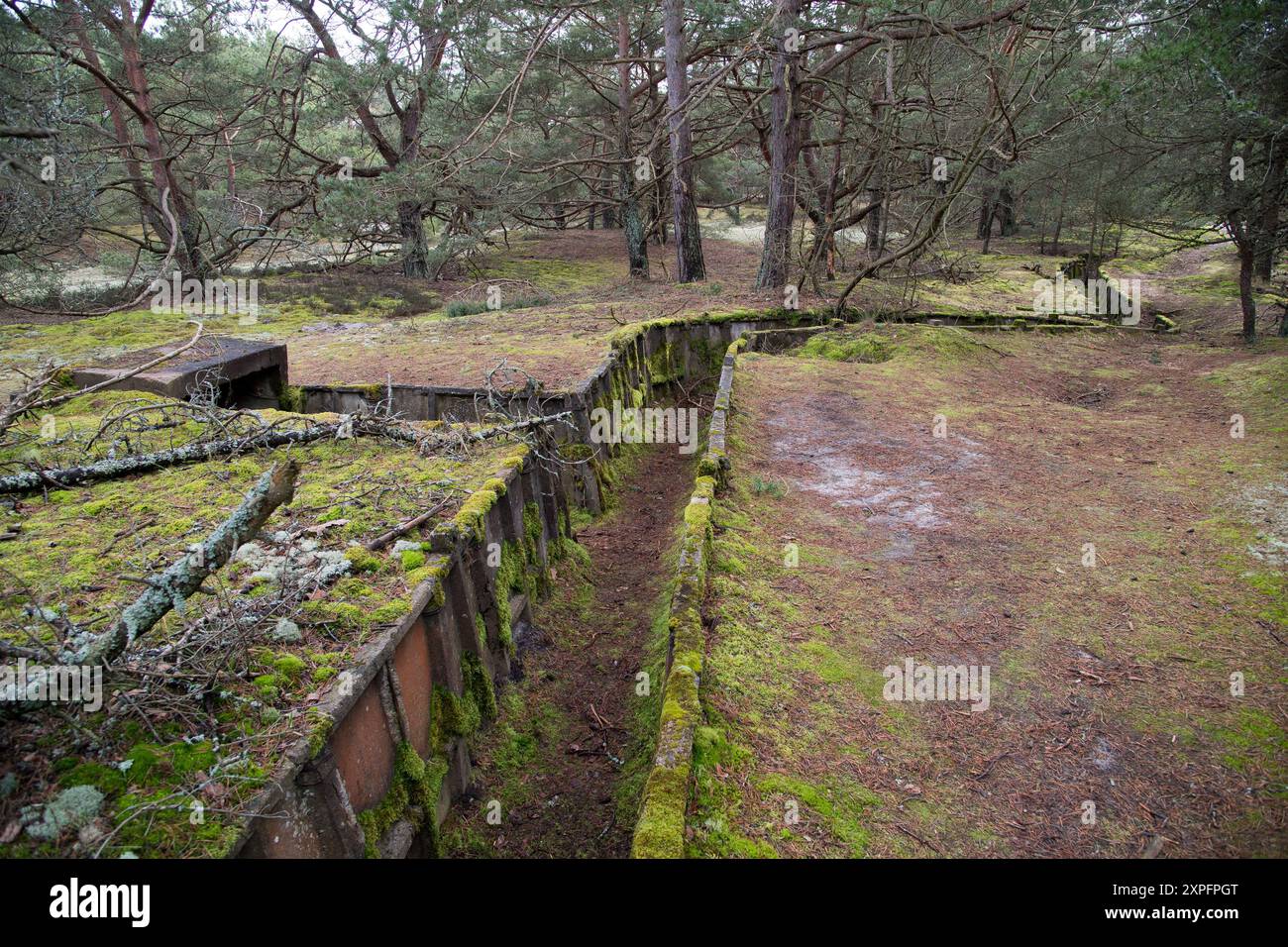 Trenches and fortifications hi-res stock photography and images - Alamy