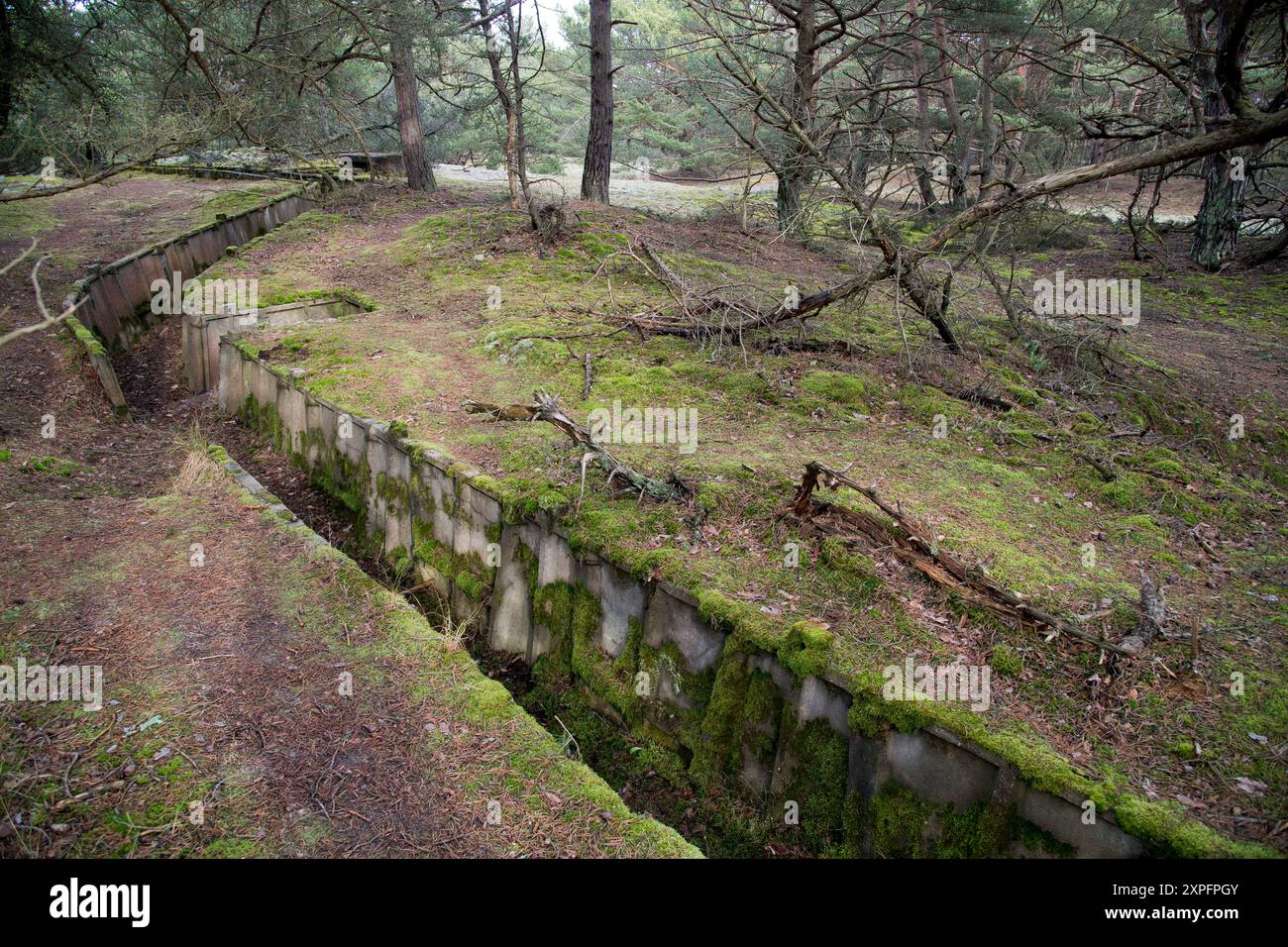 Cold War defensive fortification line in Hel, Poland © Wojciech Strozyk ...