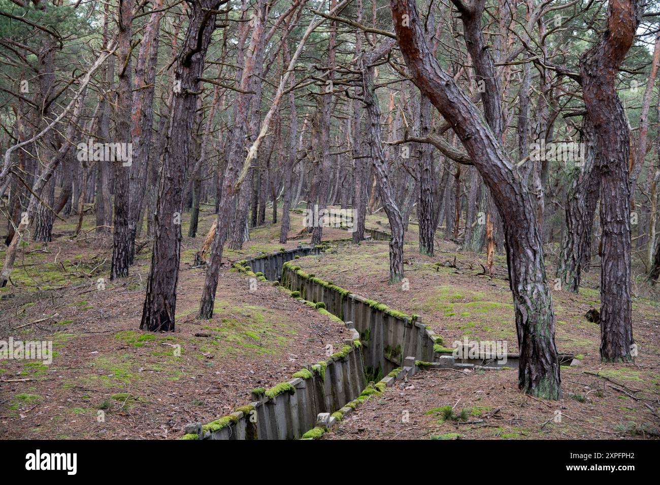 Poland cold war trenches hi-res stock photography and images - Alamy