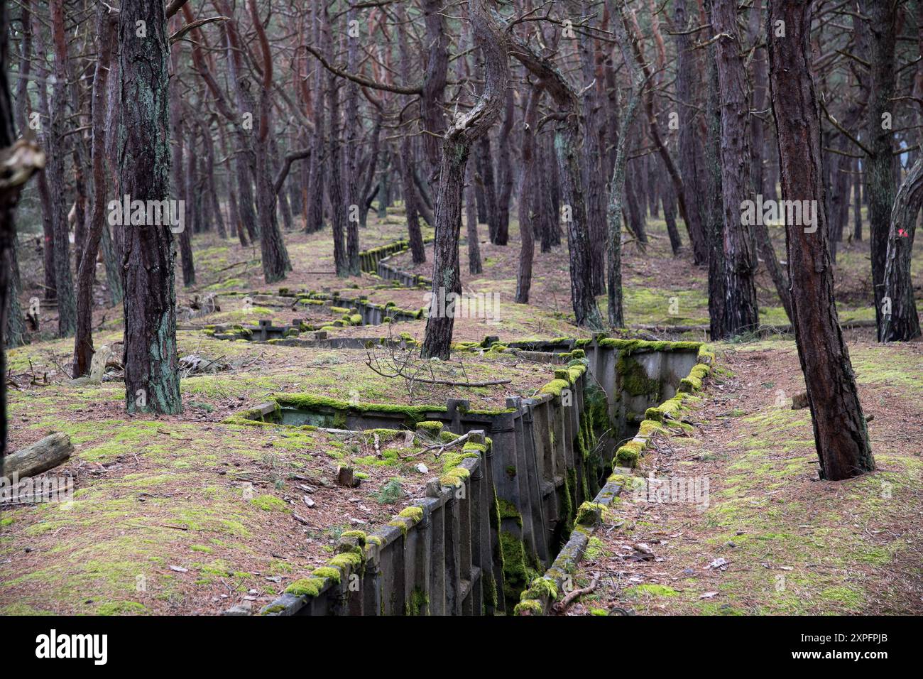 Poland cold war trench hi-res stock photography and images - Alamy