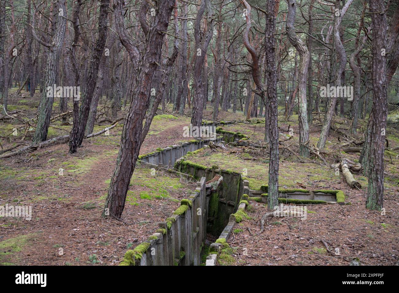 Poland cold war trenches hi-res stock photography and images - Alamy