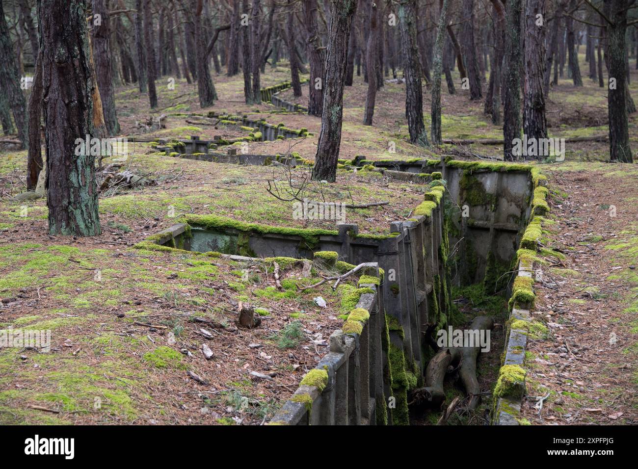 Poland cold war trench hi-res stock photography and images - Alamy