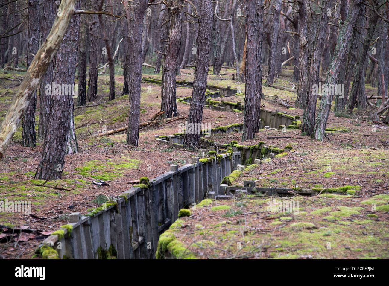 Cold War defensive fortification line in Hel, Poland © Wojciech Strozyk ...