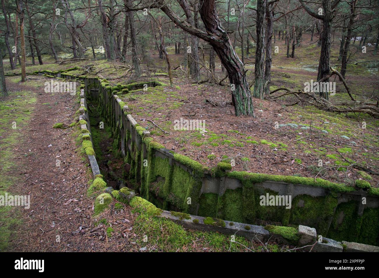 Poland cold war trench hi-res stock photography and images - Alamy