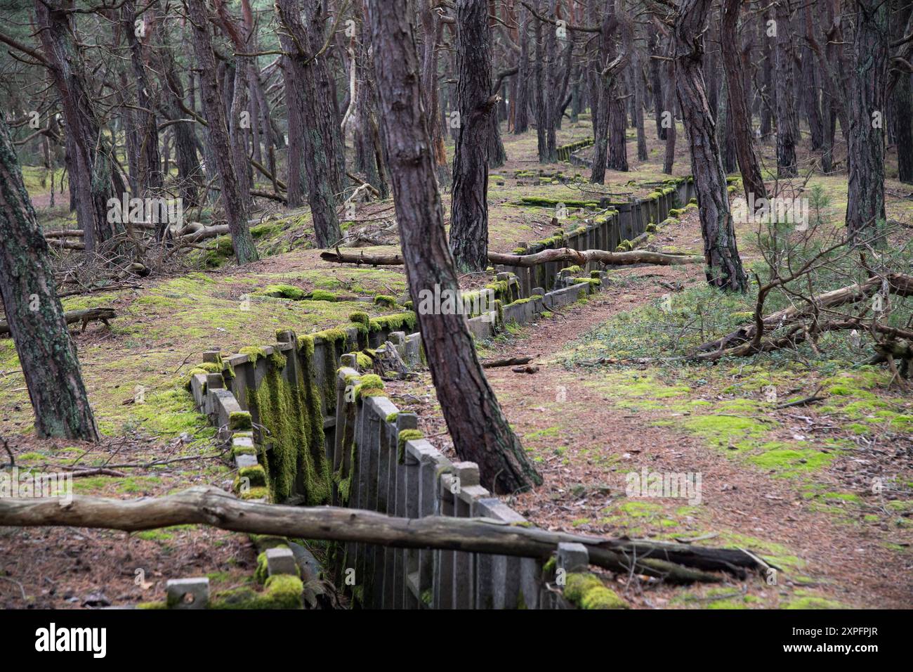 Poland cold war trench hi-res stock photography and images - Alamy