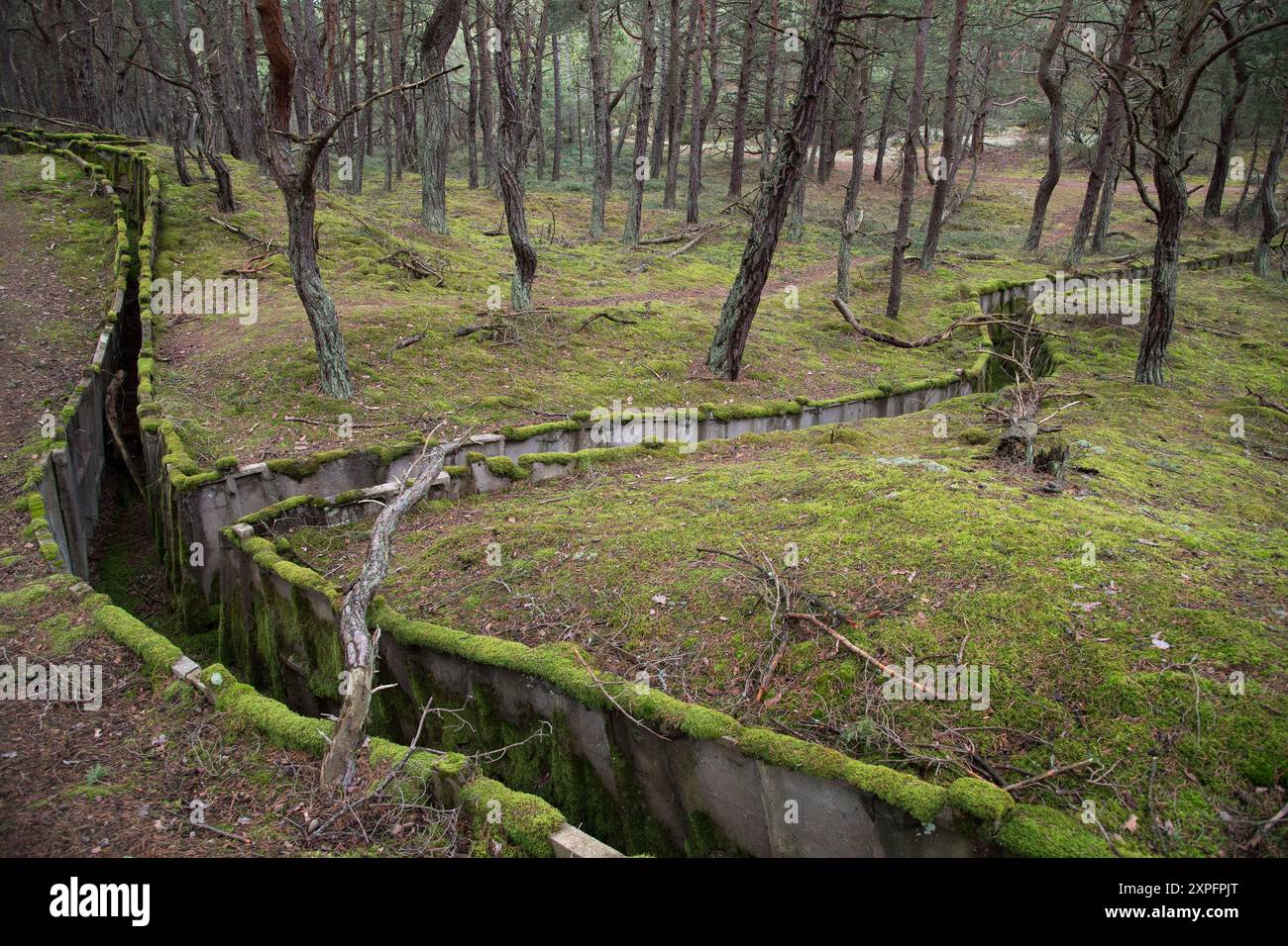 Poland cold war trench hi-res stock photography and images - Alamy