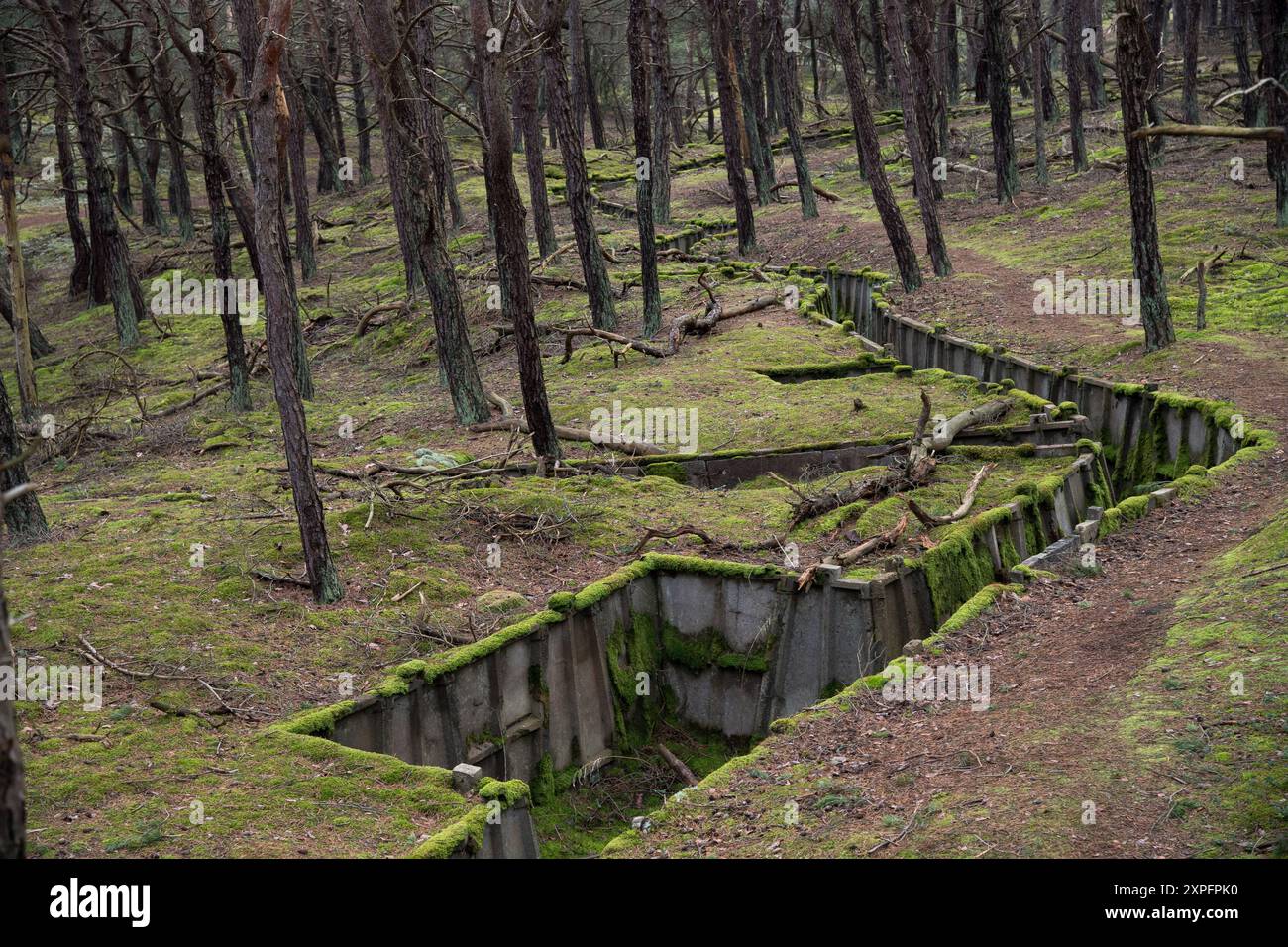Poland cold war trench hi-res stock photography and images - Alamy